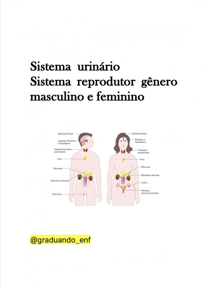 Resumo sistema urinário e reprodutor masculino e feminino - ENFERMAGEM ILUSTRADA