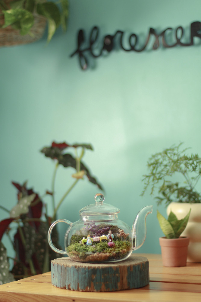 Chá da Alice - Preservado - Jardim no Pote