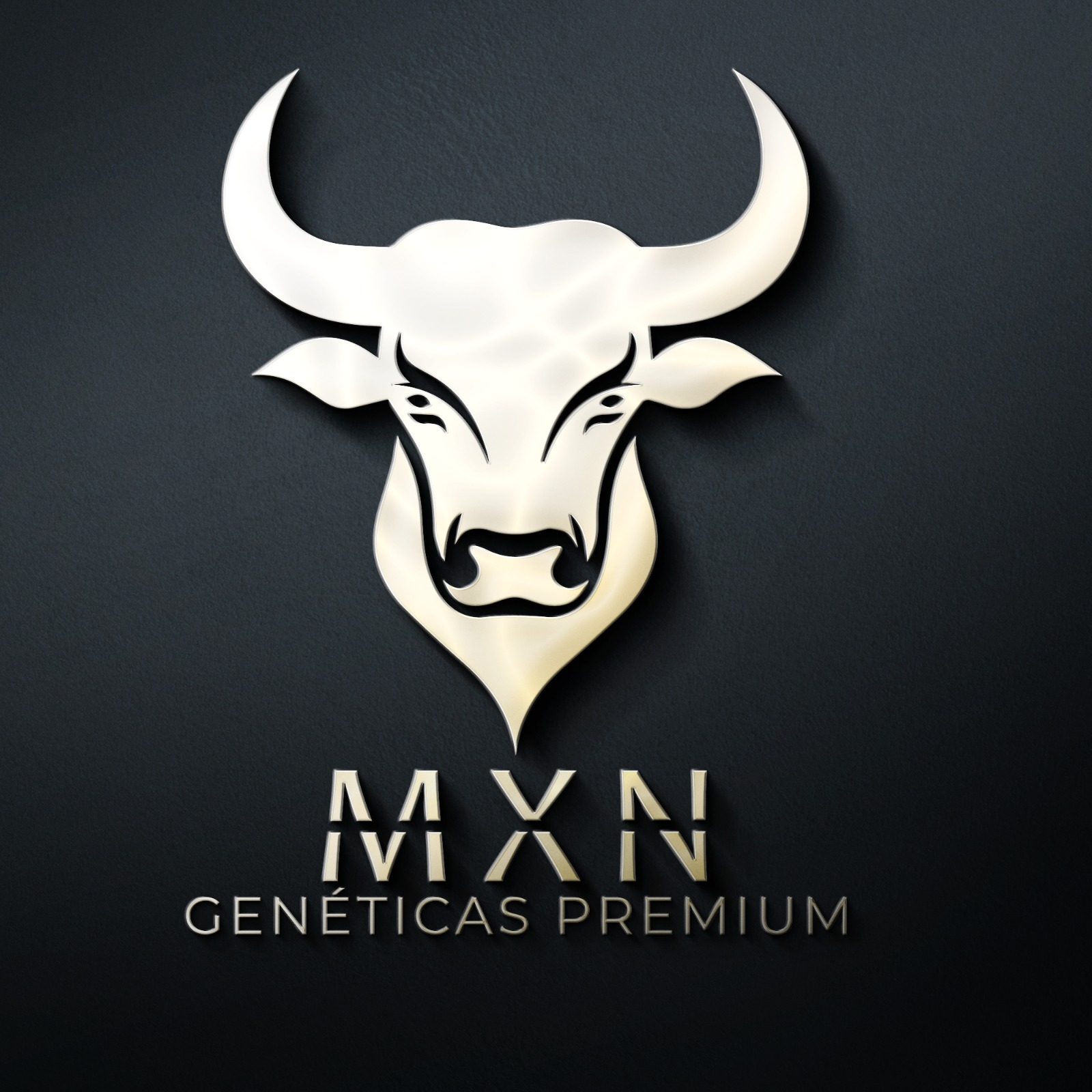 GYR PREMIUM - Genetica premium mxn